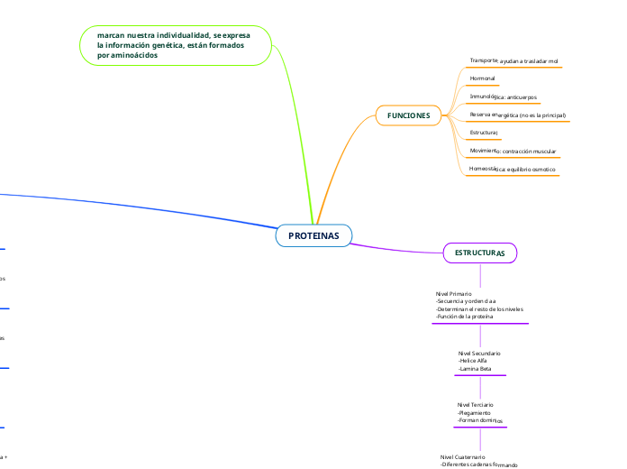 PROTEINAS - Mind Map