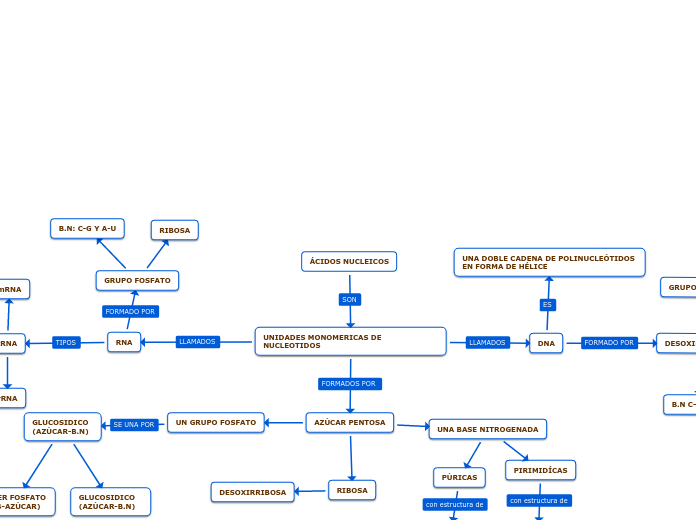 ÁCIDOS NUCLEICOS - Mind Map
