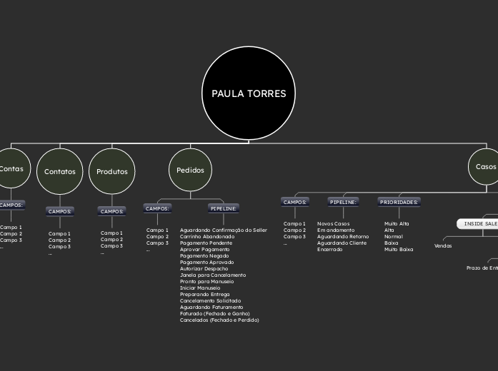 PAULA TORRES - Mapa Mental