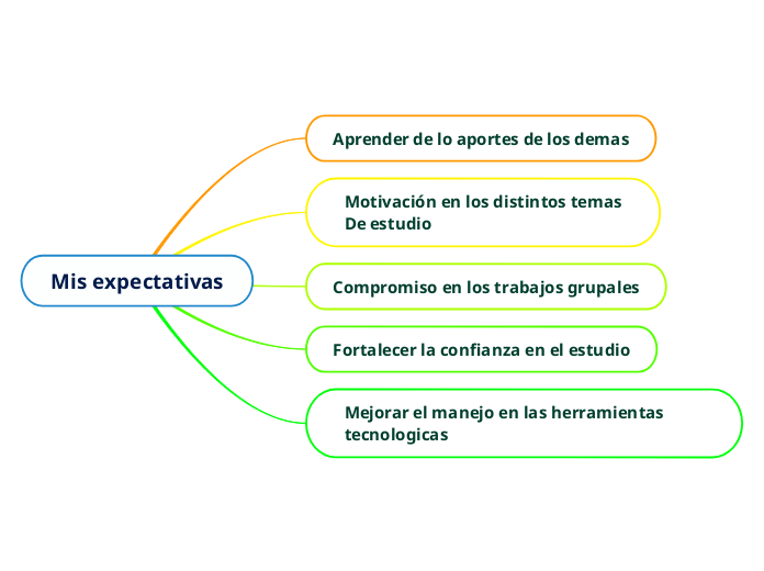 Mis expectativas - Mind Map