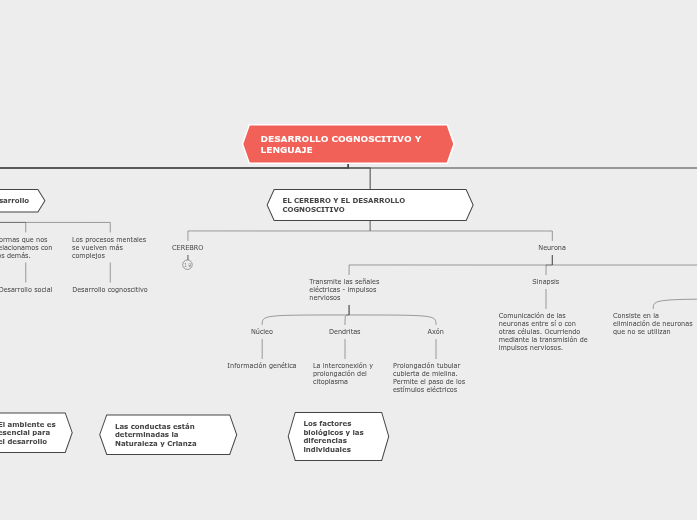 DESARROLLO COGNOSCITIVO Y LENGUAJE - Mind Map