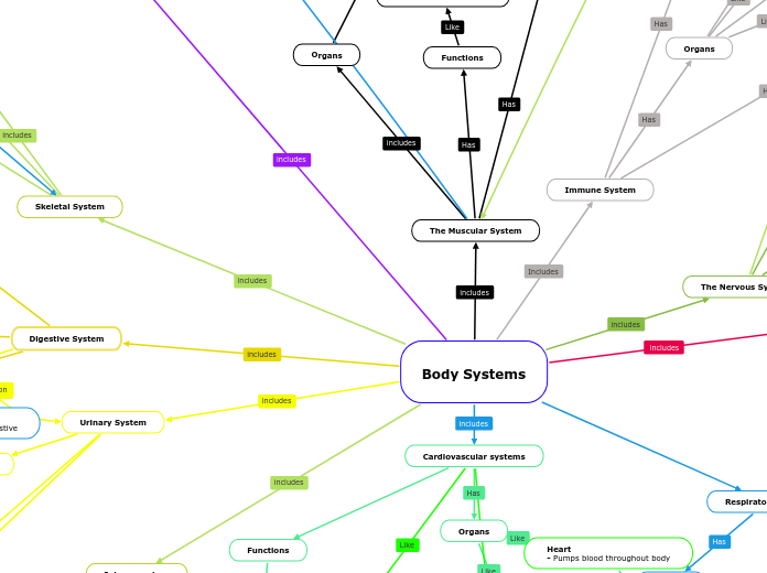 Body Systems - Mind Map