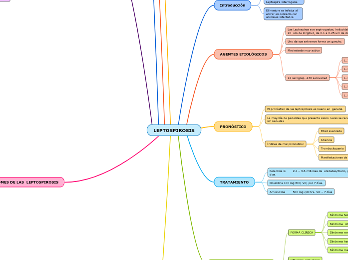 LEPTOSPIROSIS - Mind Map