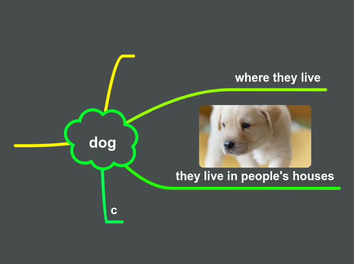 dog - Mind Map