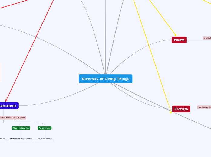 Bio by Hk - Mind Map