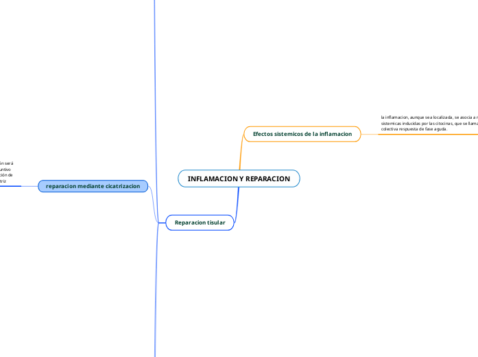 INFLAMACION Y REPARACION - Mind Map