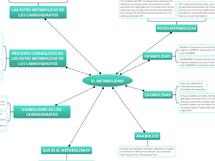 EL METABOLISMO - Mind Map