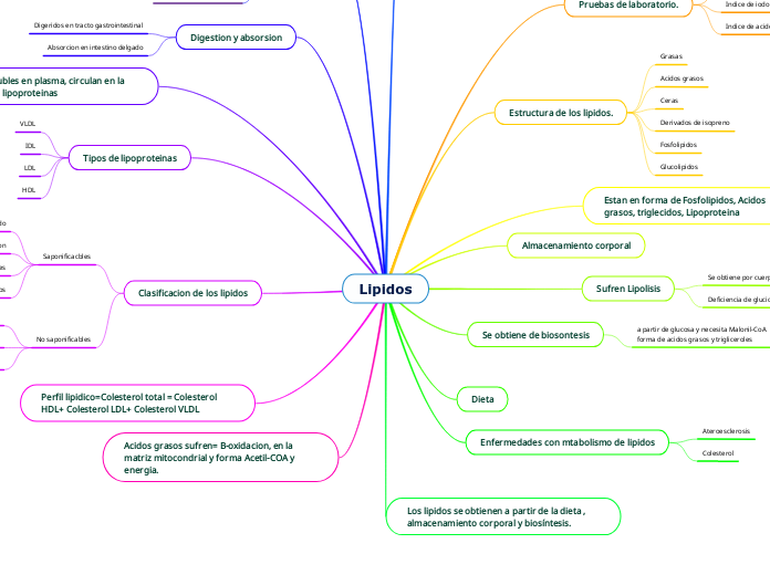 Lipidos - Mind Map
