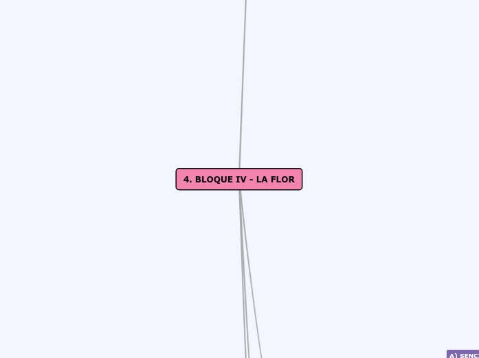 4 - LA FLOR - Mind Map