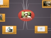ingenieria industrial - Mind Map