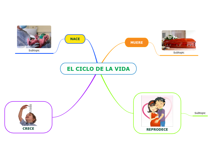 EL CICLO DE LA VIDA - Mind Map