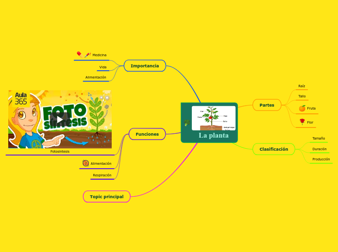 La planta - Mind Map
