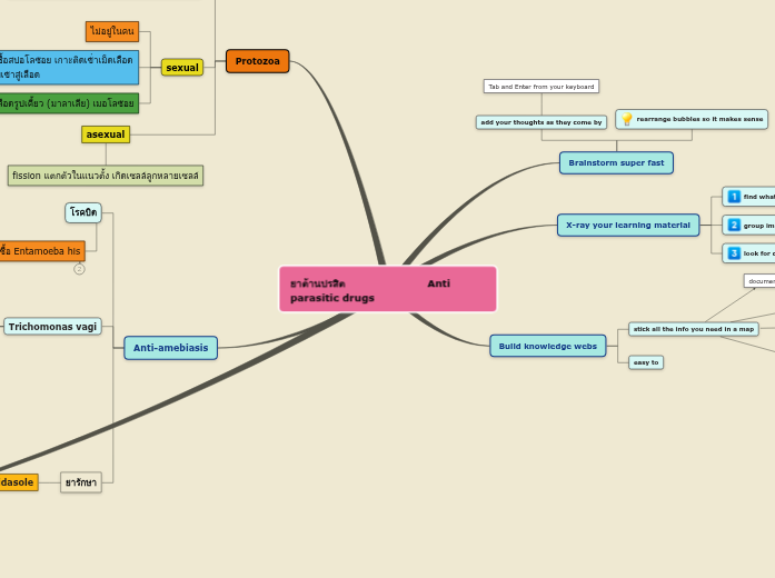 Sample Mind Map - Mind Map