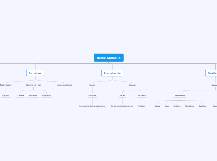Reino Animalia - Mind Map