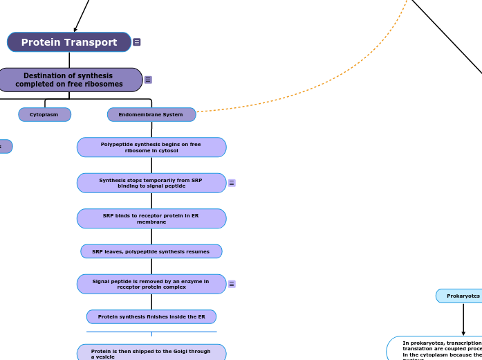 DNA Structure, Replication, Expression and...- Mind Map