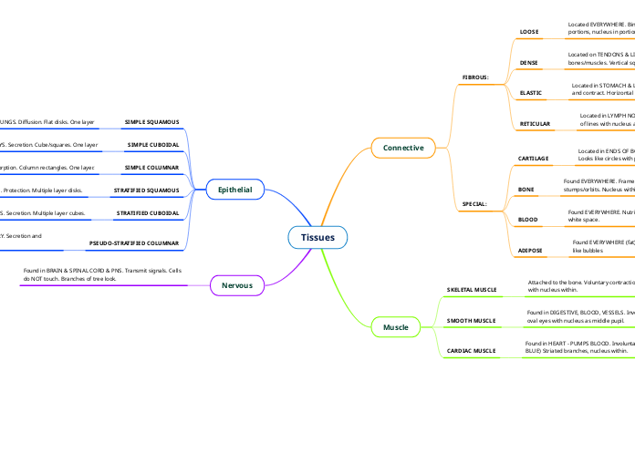 Tissues - Mind Map
