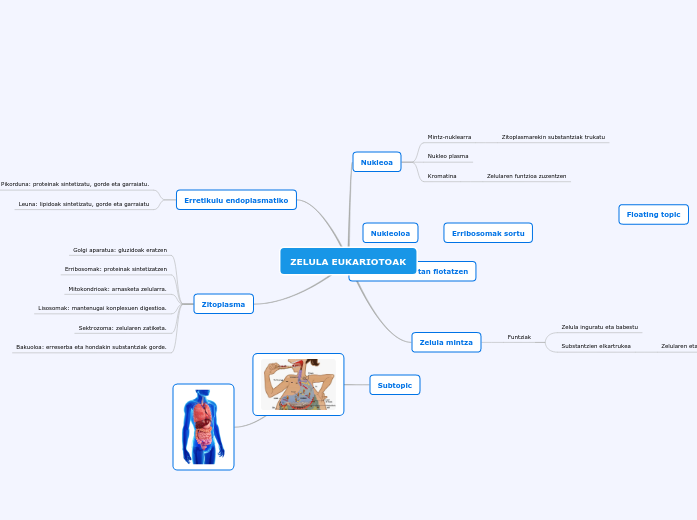 Central tema - Mind Map