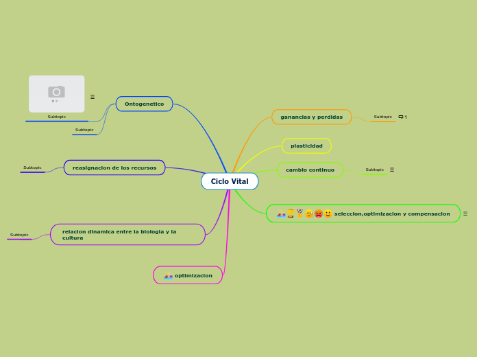 Ciclo Vital - Mind Map