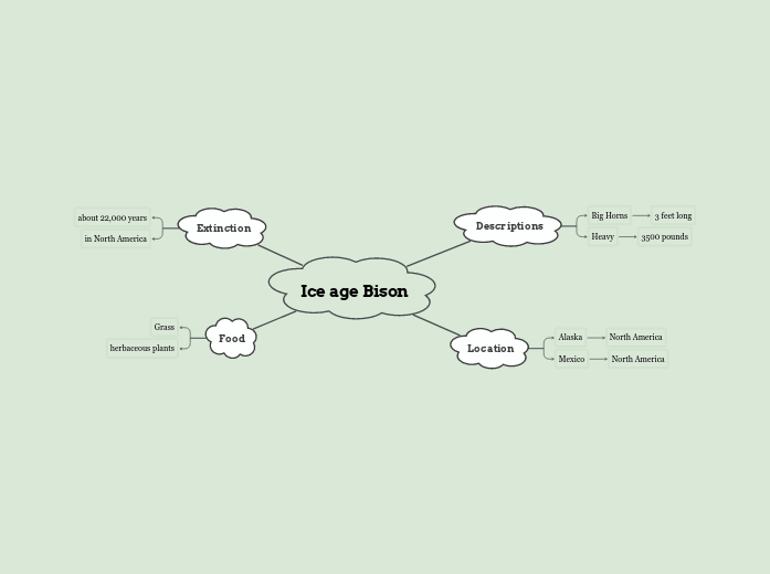 Ice age Bison - Mind Map