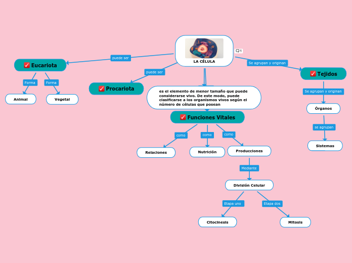 LA CÉLULA - Mind Map