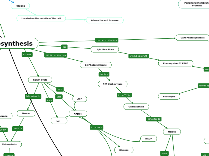 Biology Concept Map - Mind Map