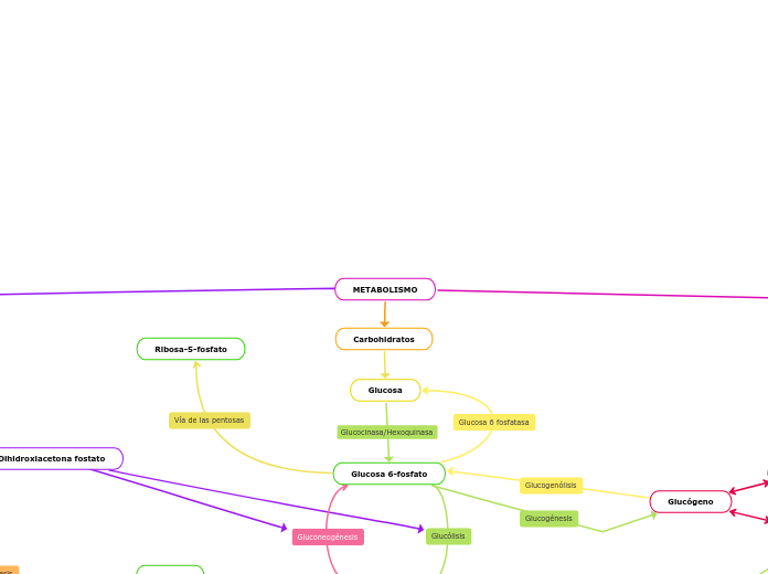 METABOLISMO - Mind Map