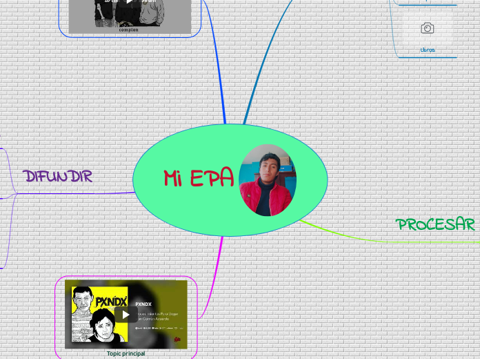 Mi EPA - Mind Map