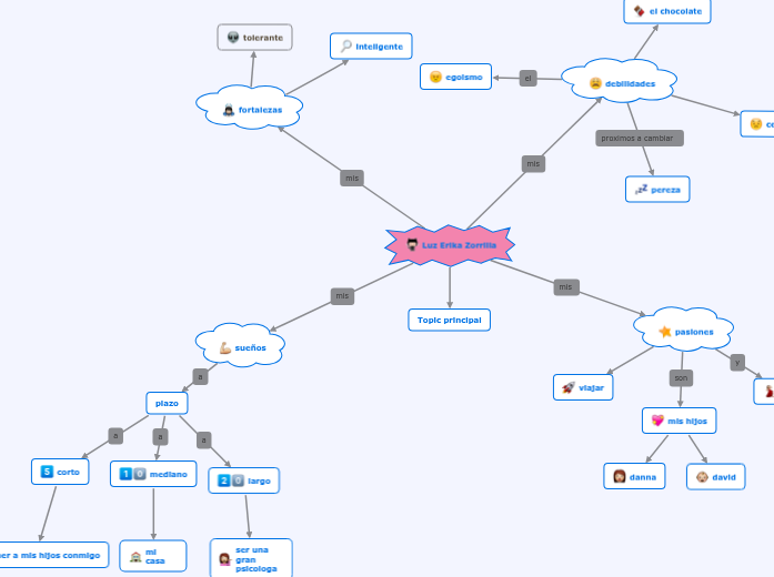 Luz Erika Zorrilla - Mind Map