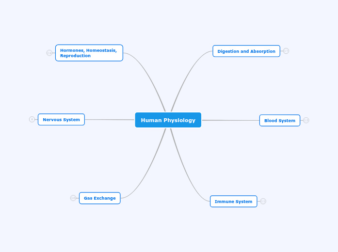 Chapter 6 Review - Mind Map