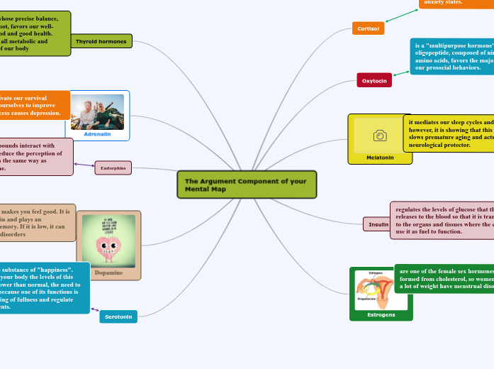 Hormones - Mind Map