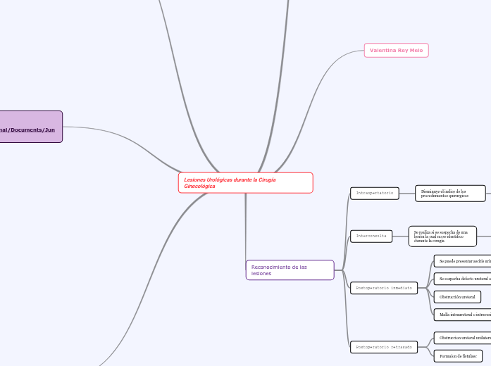 Lesiones Urológicas durante la Cirugía Gin...- Mind Map