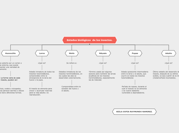 Organigrama - Mind Map