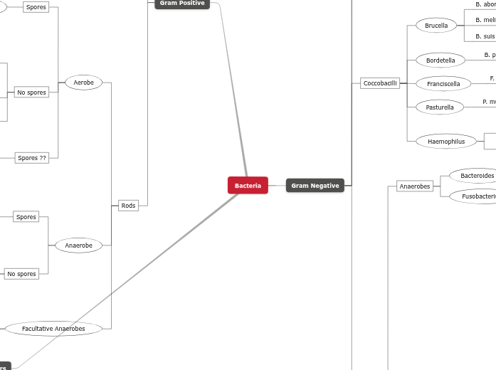 Bacteria - Mind Map