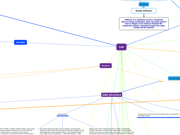 Final Concept Map - Mind Map