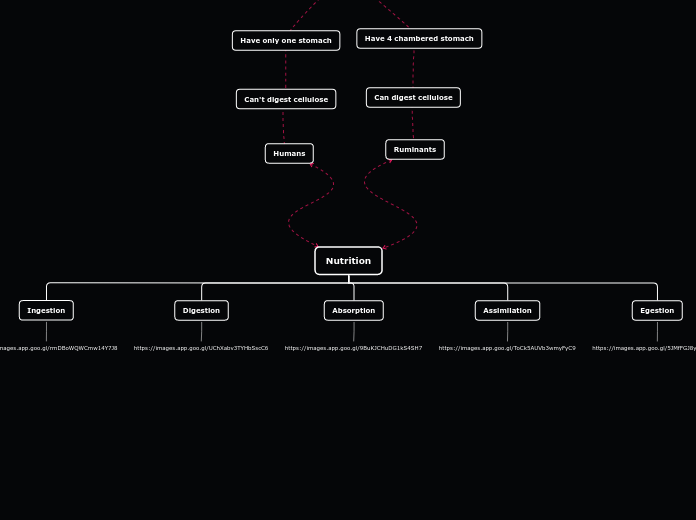 Organigram - Mind Map
