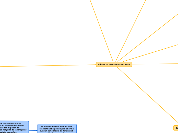 Anatomía sexual - Mind Map