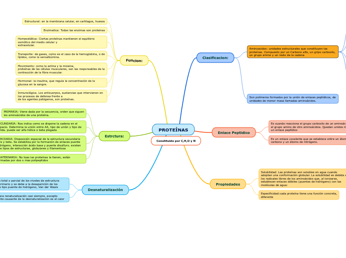 PROTEÍNAS - Mind Map