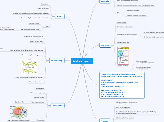 Biology topic 1 - Mind Map