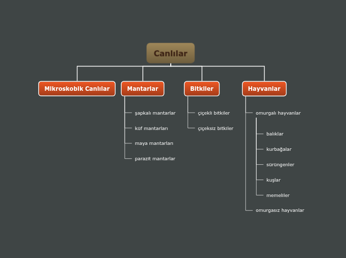 Tree organigram - Mind Map