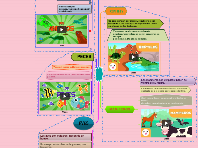 ANIMALES VERTEBRADOS - Mind Map