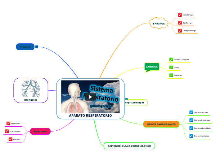 APARATO RESPIRATORIO - Mind Map