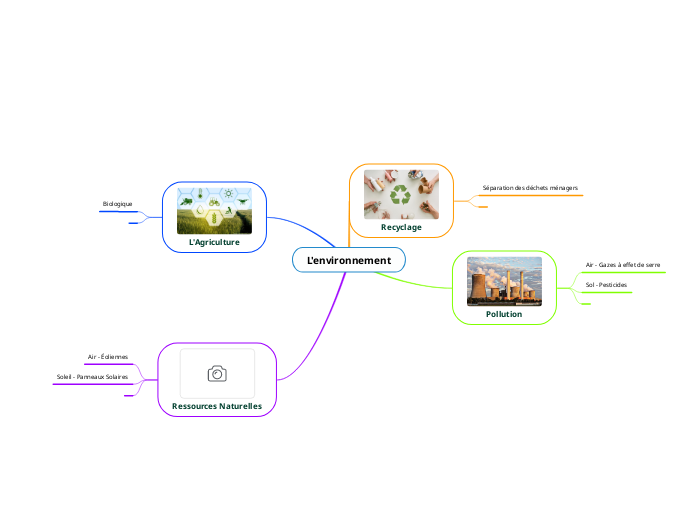 L'environnement - Mind Map