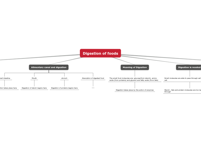 Digestion - Mind Map