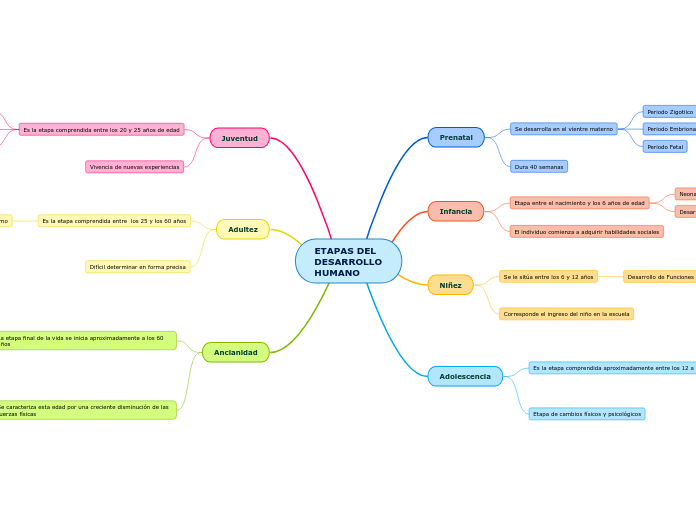 Desarrollo Humano Mappa Mentale Schema Images And Photos Finder