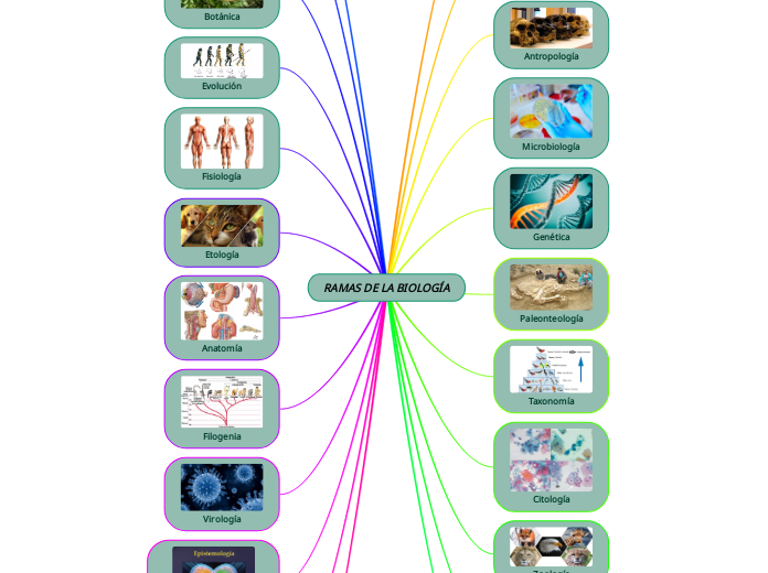 RAMAS DE LA BIOLOGÍA - Mind Map
