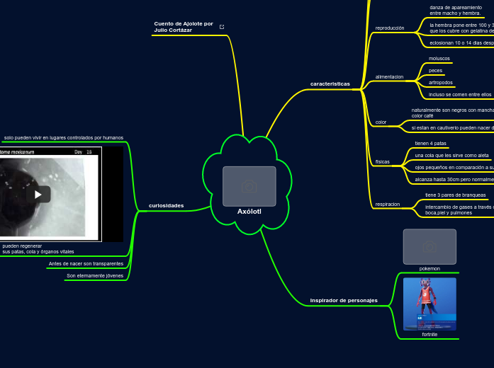 Axólotl - Mind Map