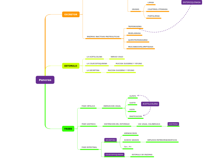 PANCREAS - Mind Map