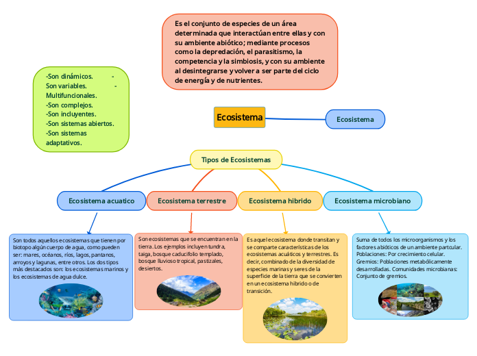 Ecosistema - Mind Map