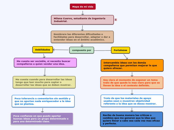 Mapa de mi vida - Mind Map