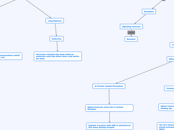 Cell Signaling - Mind Map